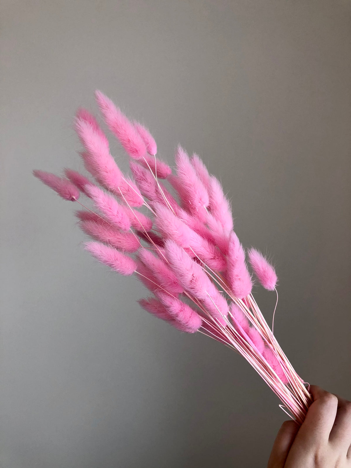 50 BABY PINK BUNNY TAILS | PinkToucan